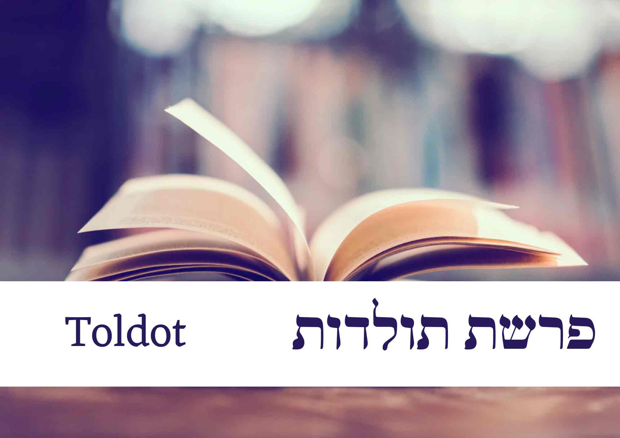 TOLDOT 5777 - Ahavatorah.fr