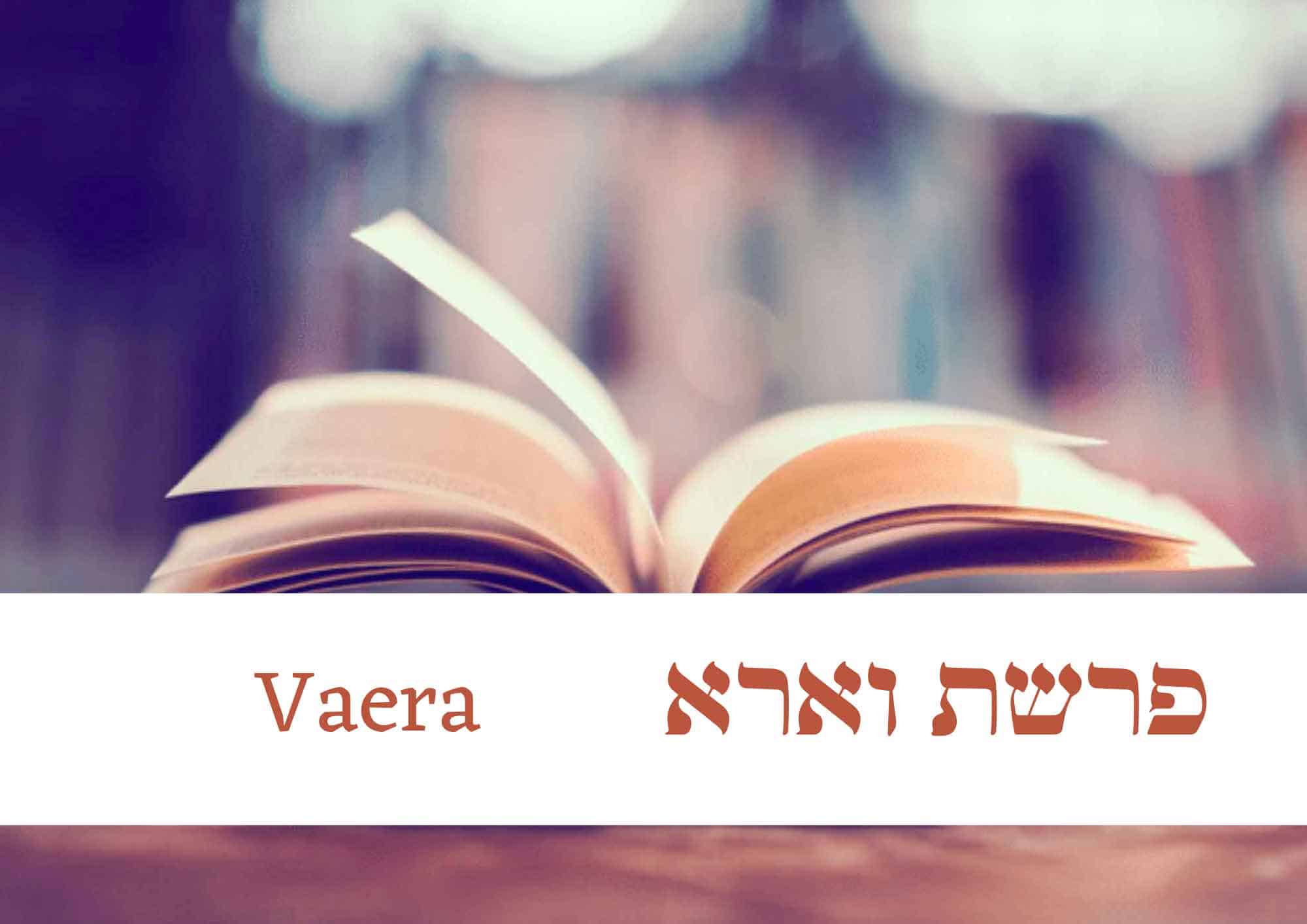 VAERA 5764 - Ahavatorah.fr